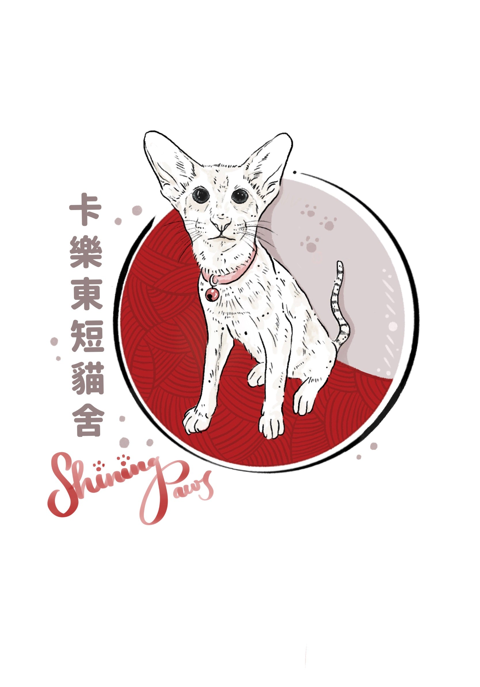 Davis-乾洗系列 – Shining Paws Pet Shop